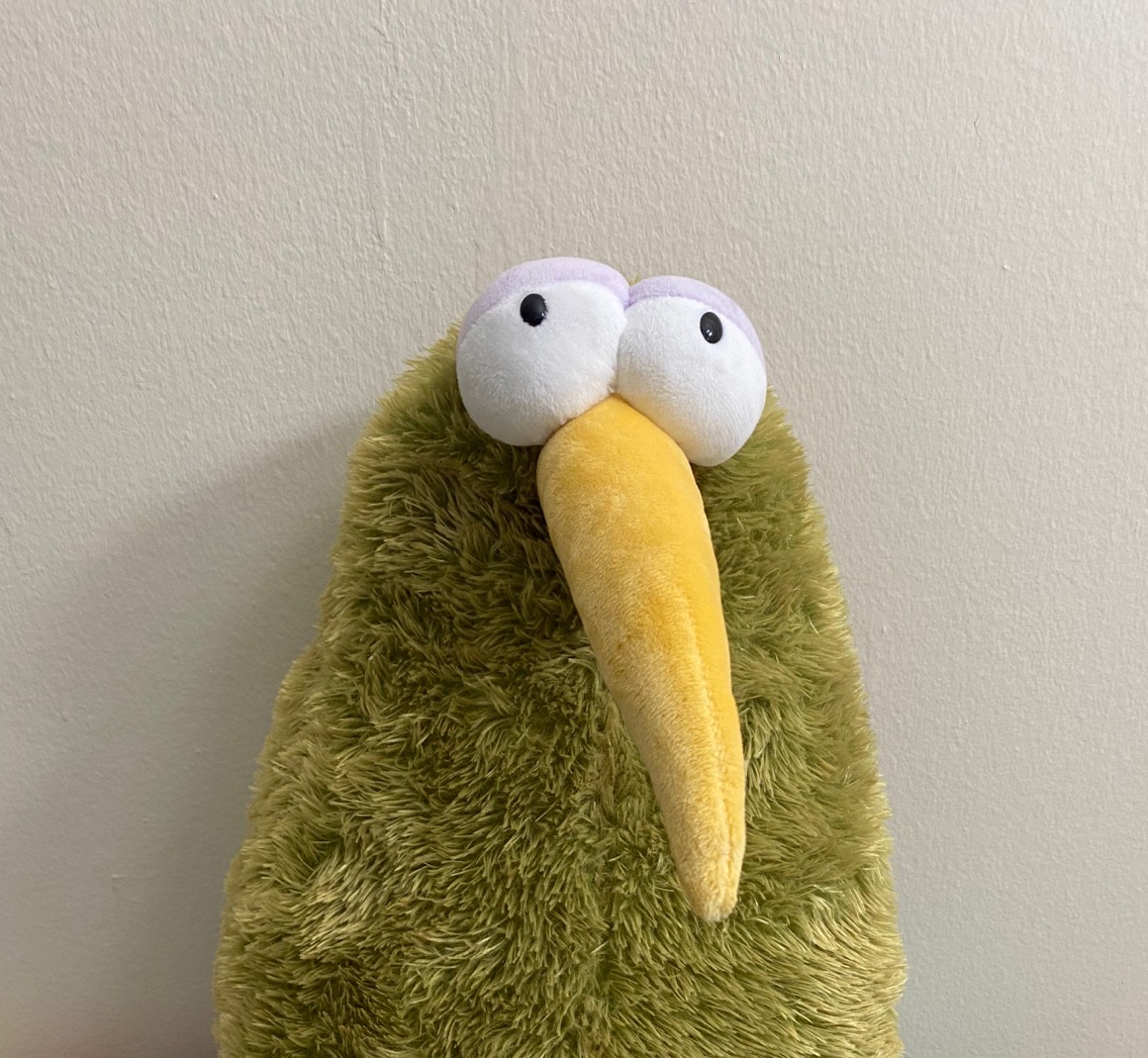 About - Shiming Wang